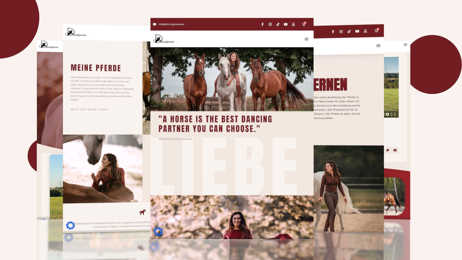 Dancinghorses - Websiterelaunch | Eggert Media